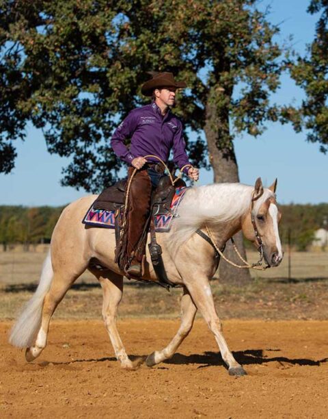 Bud Lyon Ranch Riding Clinic - Rancho Mission Viejo Riding Park
